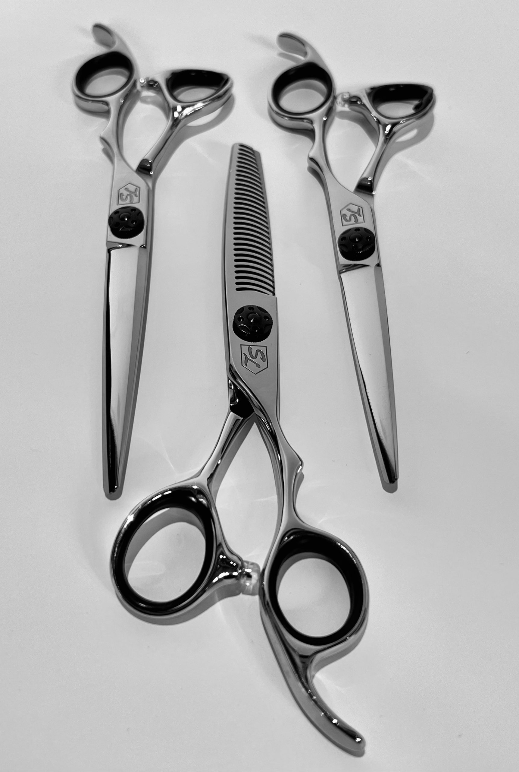 DCI Precision Scissor Set - Master Precision Scissor SetDCI Education